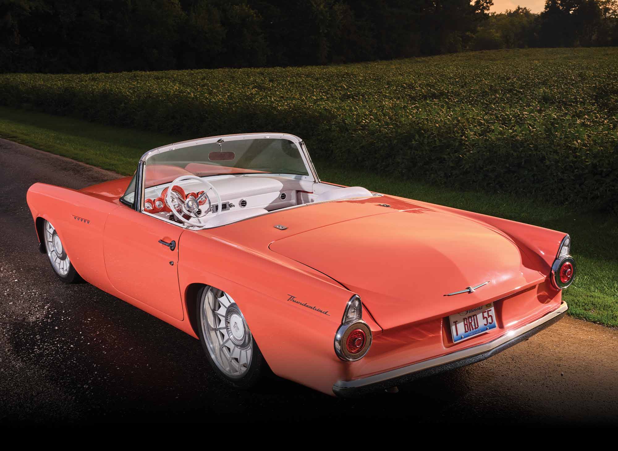 A ’Bird With Looks and Performance